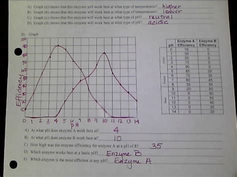 Unit Cell Structure Function Biology With Ms Raynor