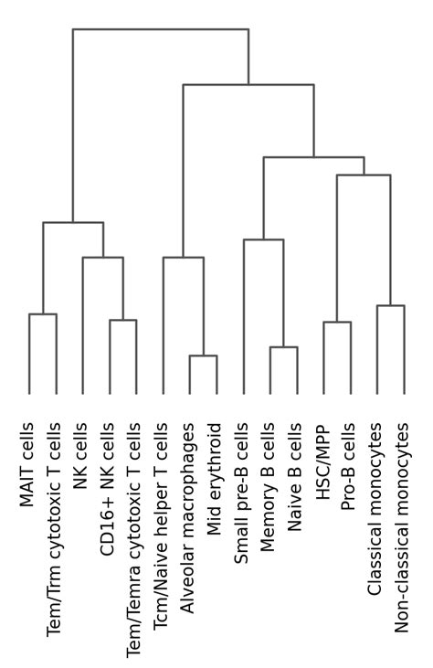 11 Annotation — Single Cell Best Practices
