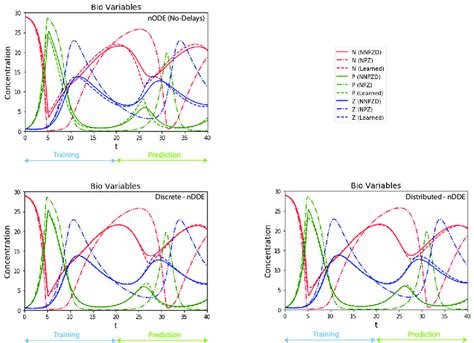 comparison of the biogeochemical variables from the learned npz model