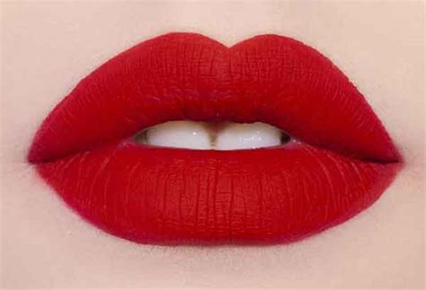 Make Up Essentials 5 Must Have Lipstick Shades Fashionpro