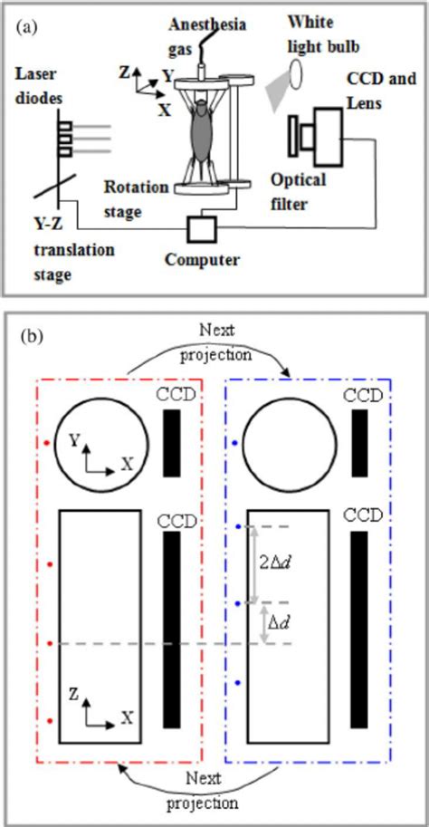 SC FDOT A Schematic Of The SC FDOT System B Strategy Of Spatially Download Scientific