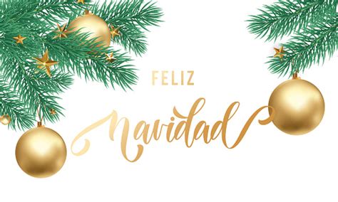 Feliz Navidad 스페인어 메리 크리스마스 핸드 전나무 지점 스타 장식 장식의 골든 서 예를 그립니다 벡터 겨울