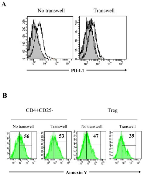 Treg Effect On M Cd8 T Cell Apoptosis Is Rather Cytokine Dependent