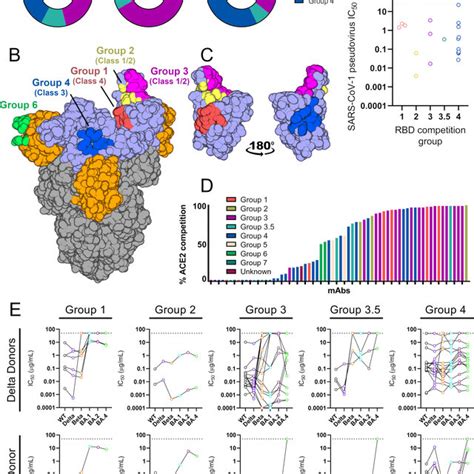 Rbd Mab Characterization A Pie Chart Showing Distribution Of