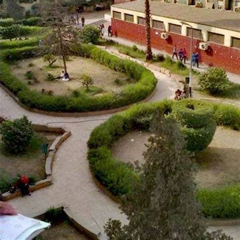 نقاش طلاب المعهد العالي لتعاون الزراعى