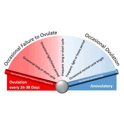 Understanding Ovulation Disorders Types Causes And New Research