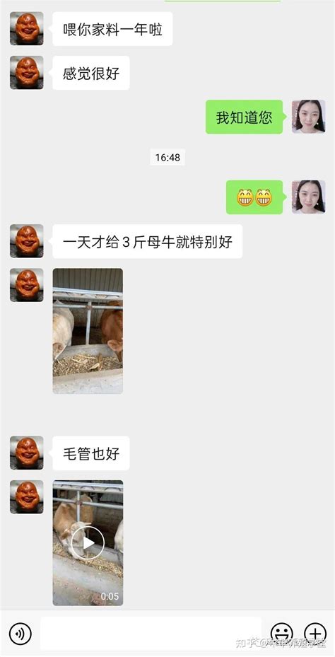 降本增效，让犊牛刚生下来1小时内就站起来 知乎