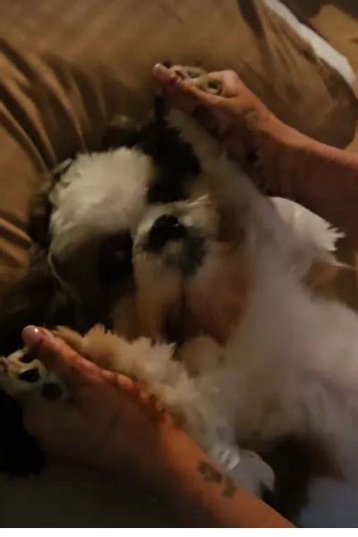 புயலுக்கு பின் அமைதி ஹனிமூன் புகைப்படத்தை வெளியிட்ட வரலட்சுமி மனிதன்