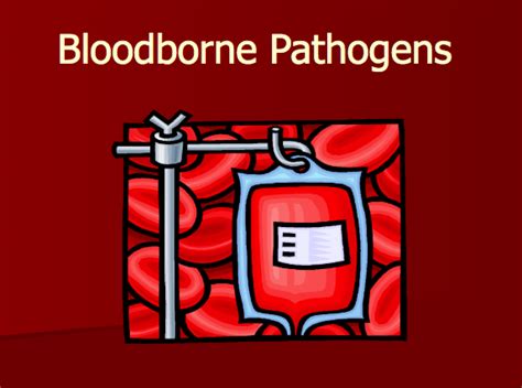 Free Bloodborne Pathogens Clipart Download Free Bloodborne Pathogens