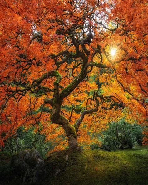 Photographer İlhan Eroğlu Captures Dreamlike Travel And Landscape Photography That Will Awe You