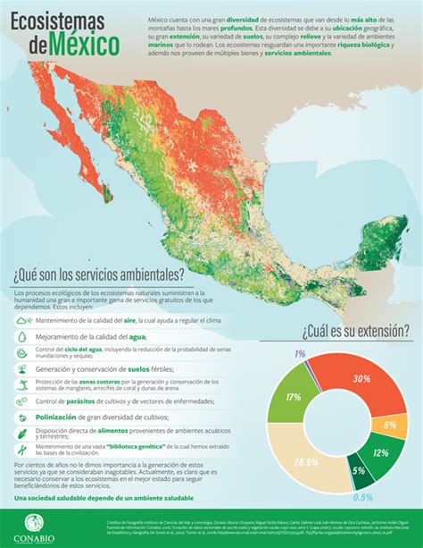 Cuales Son Los Ecosistemas De Mexico My Xxx Hot Girl