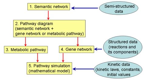 Editing And Creating Diagrams — Genexplain Platform Documentation
