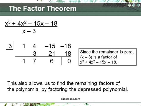 Mastering The Remainder And Factor Theorems With Worksheet Answers