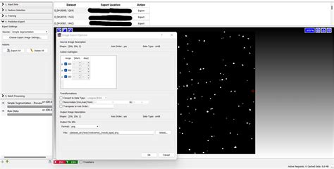 Trouble Exporting Pixel Classification Results In Ilastik Usage And Issues Image Sc Forum