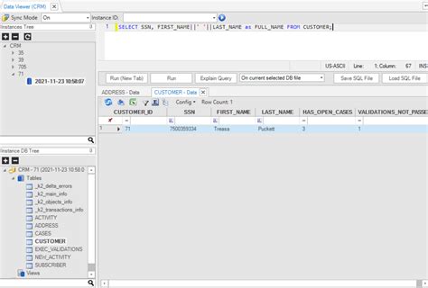 Data Viewer K2view Support