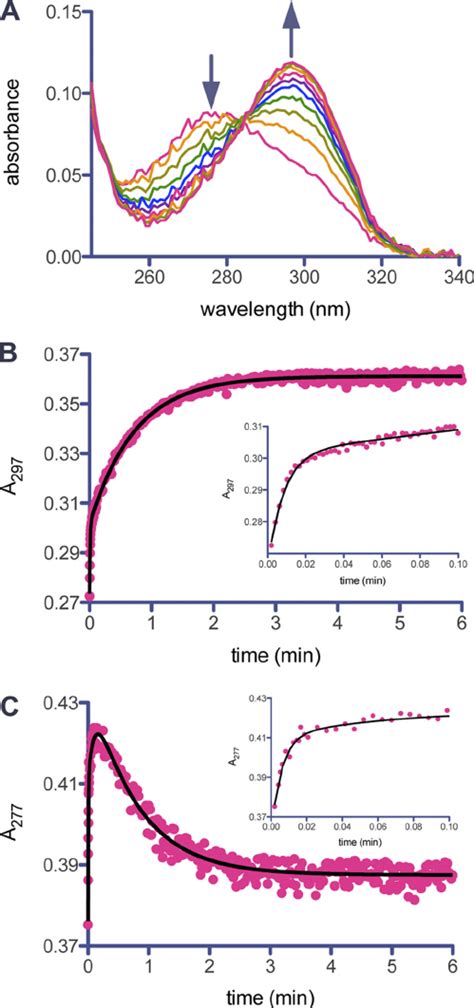Uv Detection Of Enamine Intermediates During Inhibition Of Ges 2 By