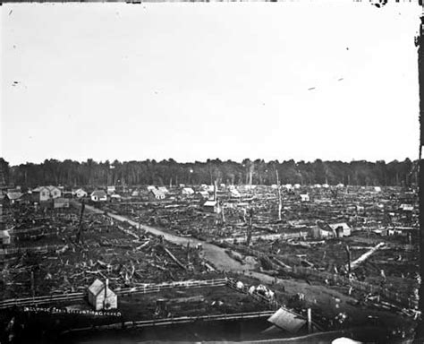 Cleared Land Logging Native Forests Te Ara Encyclopedia Of New Zealand