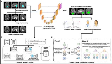 Schematic Illustration Of The Study Design A An Overview Of The