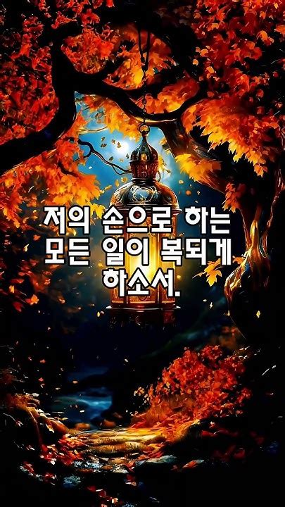 돈을 벌고 싶을 때 드리는 기도 재정축복기도 돈버는기도 믿음의부자 예수님다시오심 믿음성장 기독교쇼츠 성경말씀기도 하나님축복 크리스천영상 찬양기도문