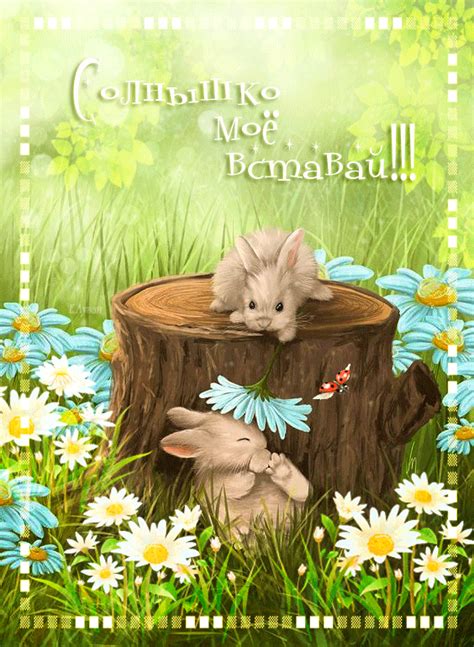 Солнышко мое вставай Доброе утро Картинки  Галерейка