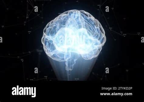 The Human Brain Rotates Formed Of Luminous Particles Plexus Structure Revolving Around