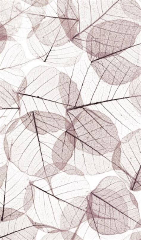 【创意叶子艺术图集下载】叶子纹理绘画肌理剪纸装饰图案精选 花瓣网