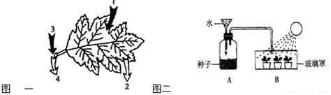下图为草原生态系统的食物网简图 据图回答下列问题 图中所有生物若要构成一个完整的生态系统 还缺少 从生态系统的组成分析 图中的草属于 其它动物是 如果大量捕食狐 那么鹰