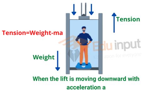 Real And Apparent Weight Definition And Example