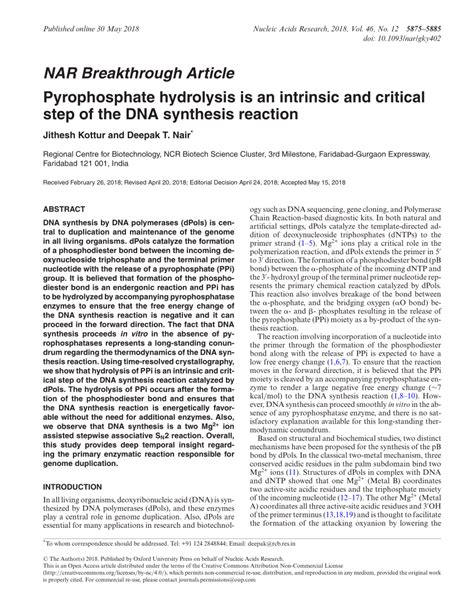 Pyrophosphate Dna Replication