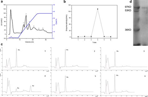 Assay Of Enzyme Characterization A The Hplc Profiles Of Single Enzymes