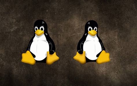 How To Run Multiple Distros Using Linux Containers
