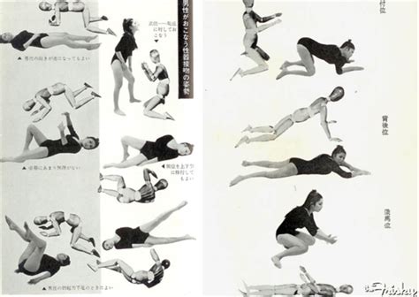 This Japanese Sex Guide Is Terribly Confusing The Frisky