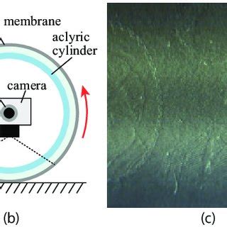A Standard Shape Of The Sensor With The Flat Sensing Skin B Download Scientific Diagram