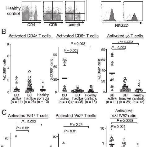Pdf Preferential Activation Of Circulating Cd8 And γδ T Cells In Patients With Active Behçet