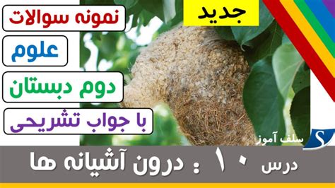 نمونه سوالات علوم دوم دبستان با جواب تشریحی درس 10 درون آشیانه ها