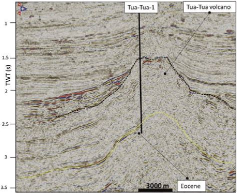 Vertical Seismic Amplitude Section From P95 2d Seismic Survey Showing Download Scientific