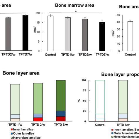 The Quantitative Topological Analysis Of Cortical Bone Porosity In Download Scientific Diagram