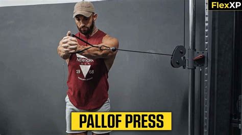 Pallof Press Artofit