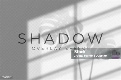 그림자 오버레이 효과 벡터 그림자 및 라이트 오버레이 효과 자연 조명 장면입니다 창문과 야자수 잎에서 투명한 그림자의 모형 사실적인 투명 광 굴절 0명에 대한 스톡 벡터