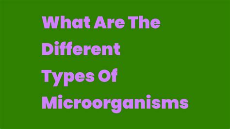 What Are The Different Types Of Microorganisms Write A Topic