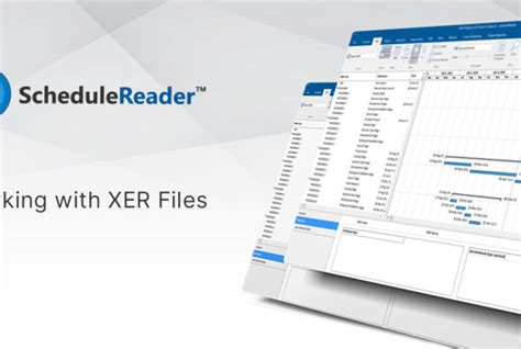 What Is Negative Float And How To Adjust It In Primavera P6