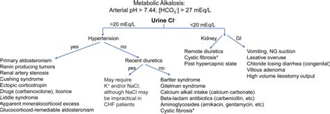 Metabolic Alkalosis Pathogenesis Diagnosis And Treatment Core