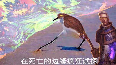 在危险边缘疯狂试探的你 图网络