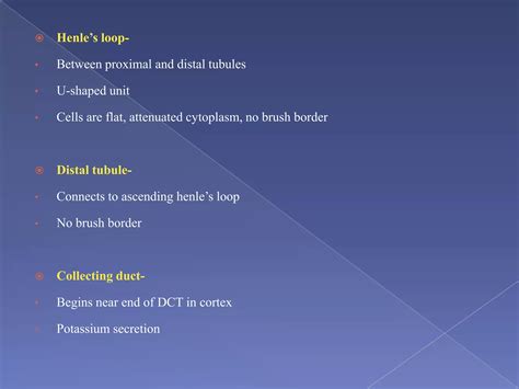 Interpretation Of Renal Biopsy Pptx