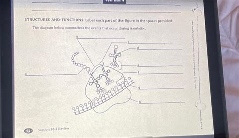 Solved STRUCTURES AND FUNCTIONS Label Each Part Of The Chegg Com