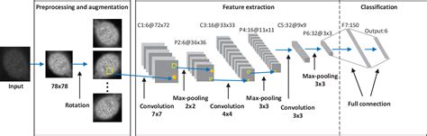 Figure 1 From Hep 2 Cell Image Classification With Deep Convolutional Neural Networks Semantic