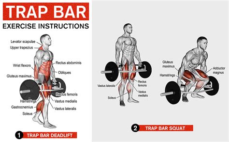 Hex Bar Deadlift A Guide For Bodybuilders