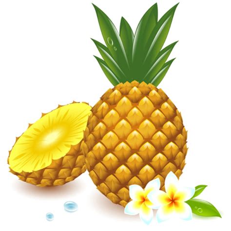 Pineapple Vector Free At Collection Of Pineapple