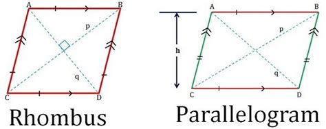 Difference Between Rhombus And Parallelogram With Comparison Chart