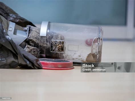 청소 개념을 위해 나무 바닥에 검은 쓰레기 봉투와 먼지 또는 쓰레기가 있는 플라스틱 진공 청소기 쓰레기통의 근접 촬영 0명에 대한 스톡 사진 및 기타 이미지 Istock